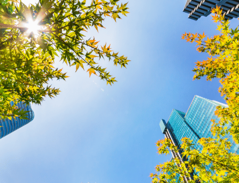 5 interesting truss structures in the World | SkyCiv Engineering